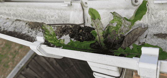 How do I know if my downpipe is blocked?